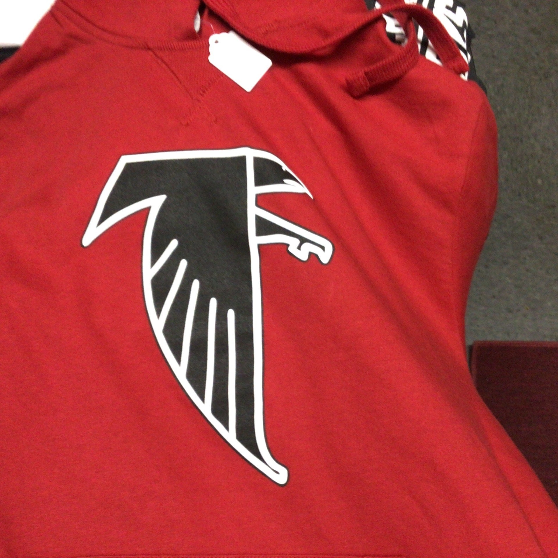 Falcon Hoodie | Divine Child High School Falcon’s Nest